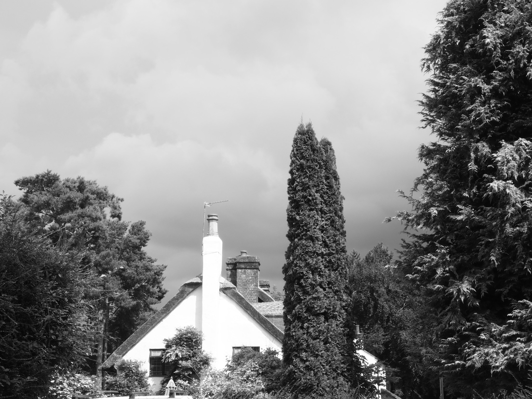 Hatching Green – Walsworthblog